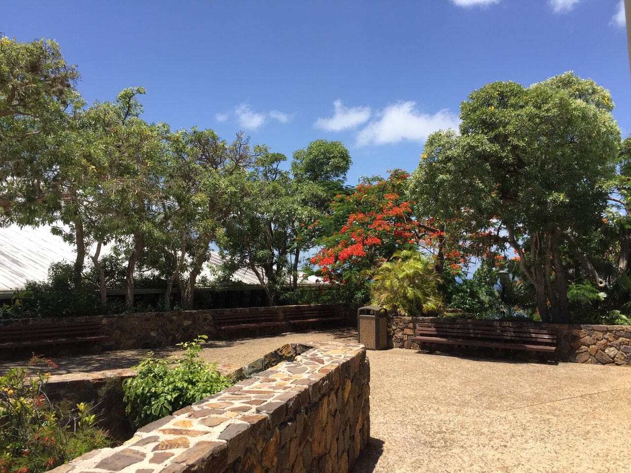 UVI Unveils New Strategic Plan to Ensure School’s Future | St. Croix Source
