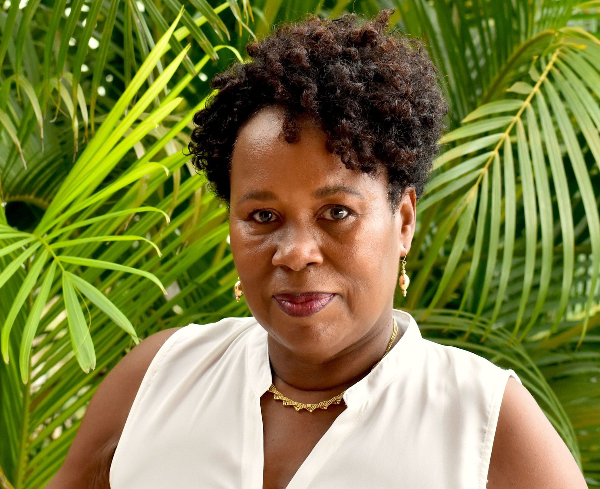 Racism is Defined by Experience: Chapter Seven | St. Croix Source