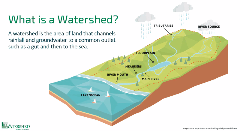 Watershed Project Aims to Improve Water Quality in the Territory | St ...