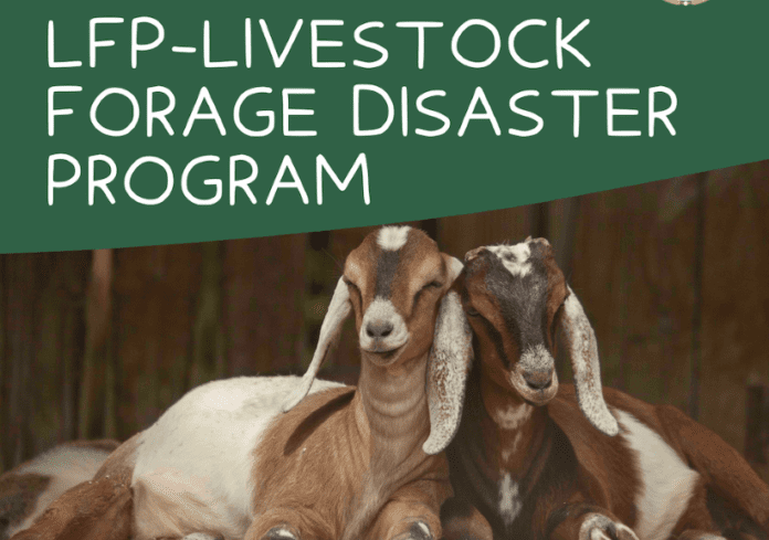 Farm Service Agency to Give Disaster Assistance for 2022 Livestock ...