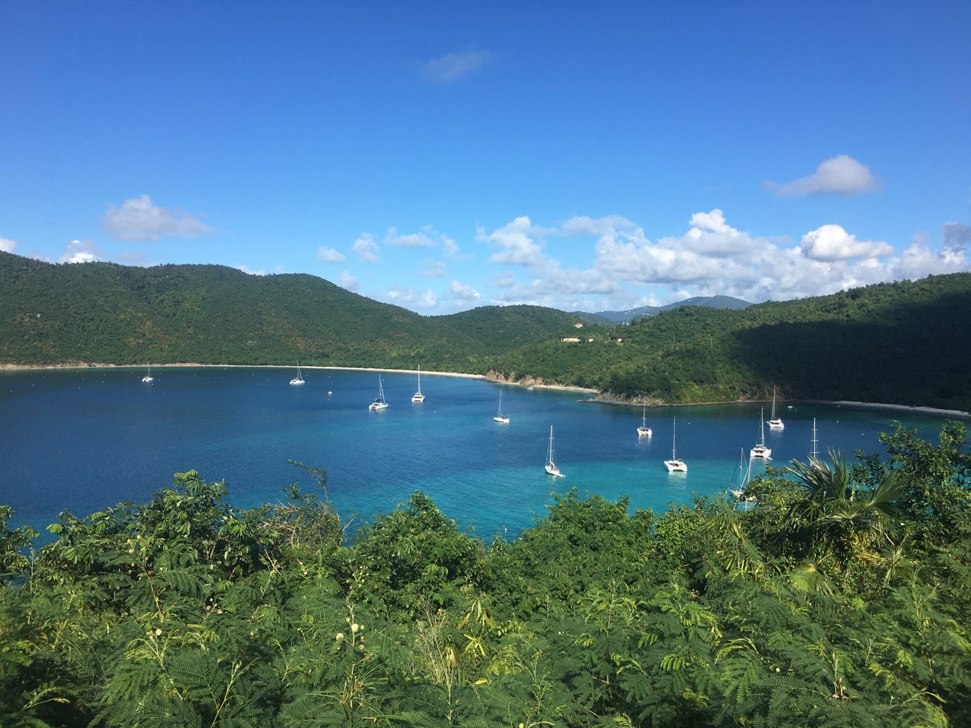 Territory Celebrates ‘Nicole Robin Day’ in the U.S. Virgin Islands | St ...
