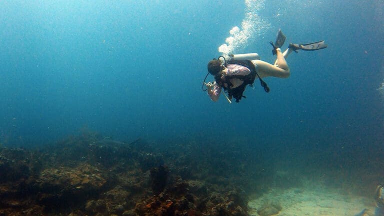 St Croix’s Original PADI 5 Star Dive Experience to Celebrate 40 Years ...