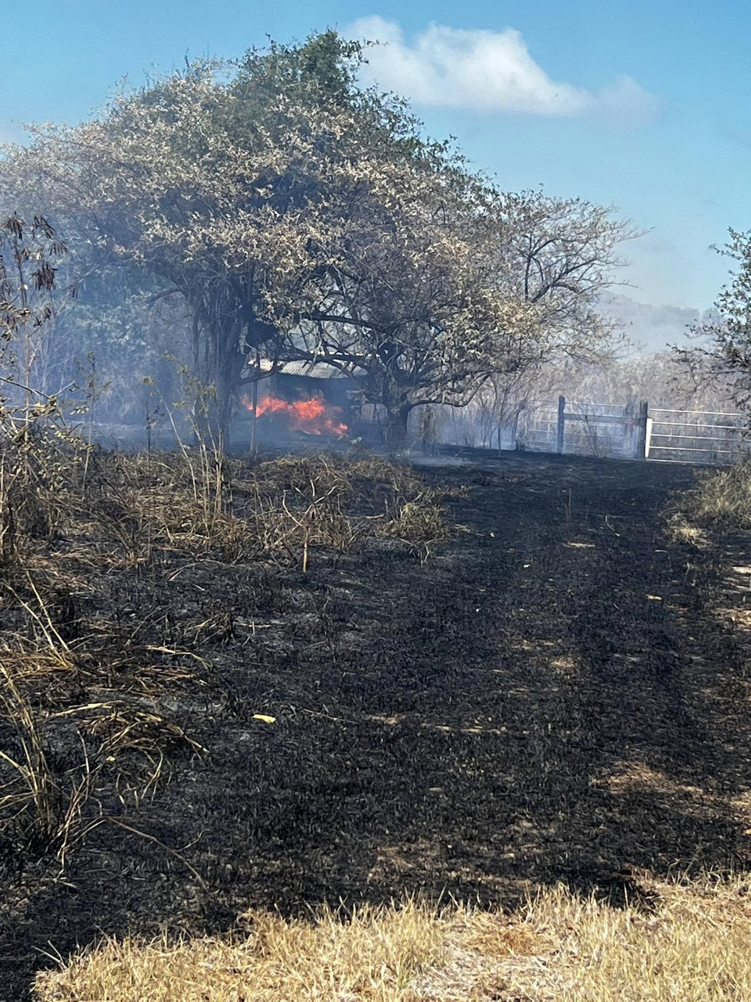 Art Farm Opens After Fire Destroys Crops and Vegetation | St. Croix Source