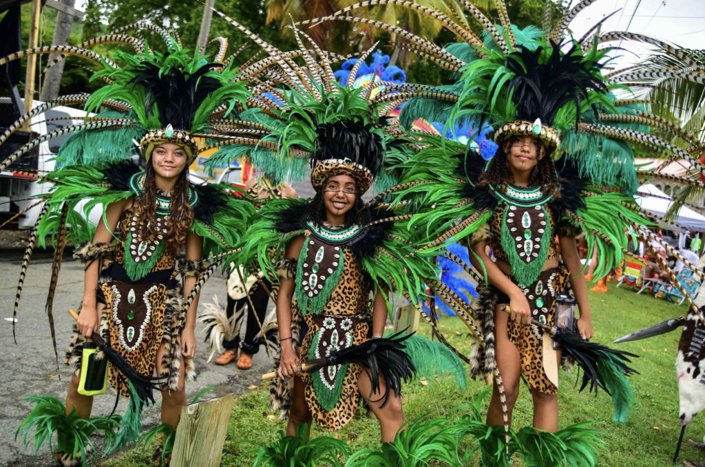 Livestream Presentation Heralds St. John Celebration 2026 | St. Croix ...