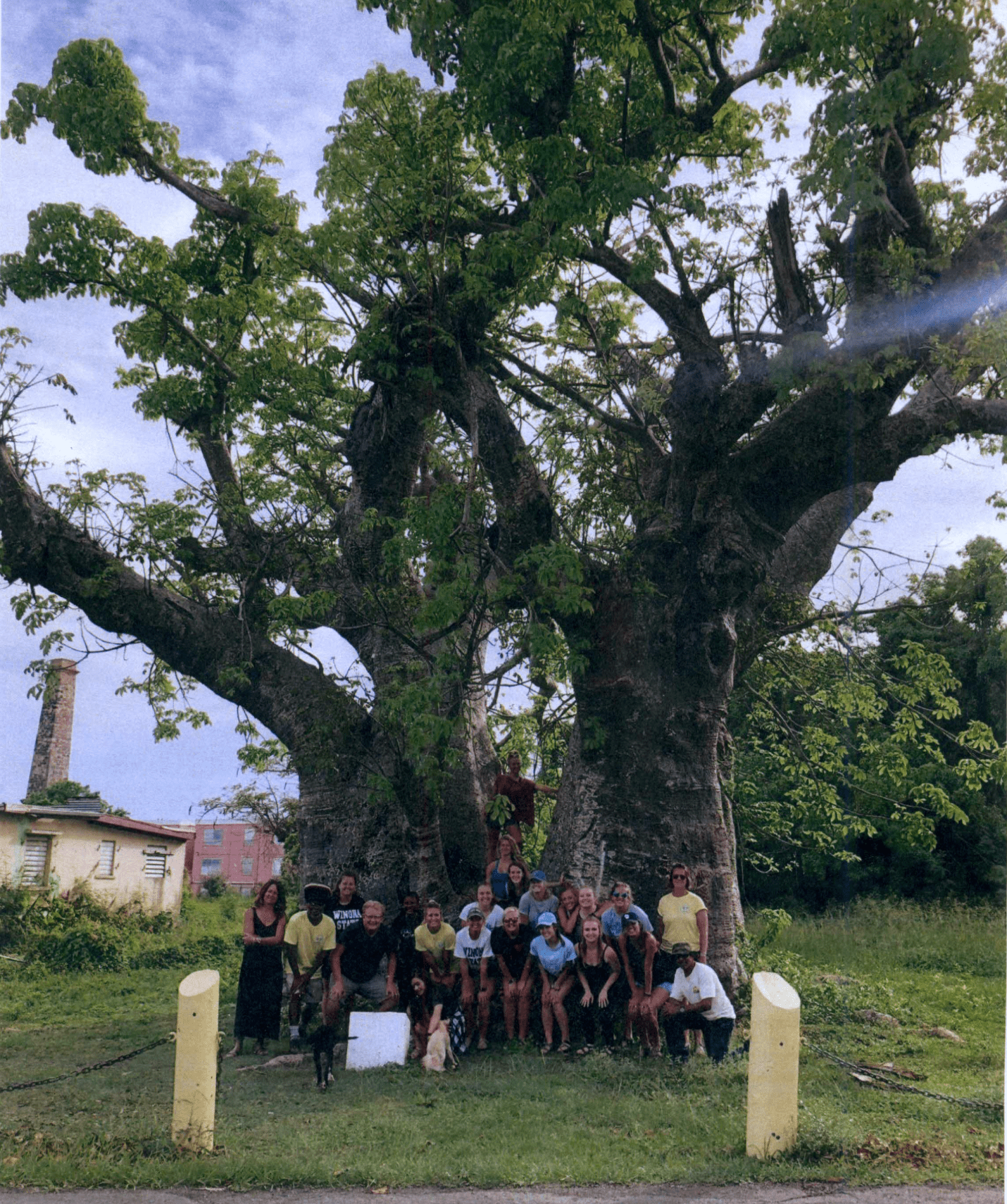 Op-Ed: Concerned Citizens Launch Effort to Save Famed Grove Place ...