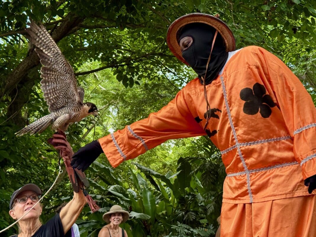 Mango Melee Draws Crowds to Botanical Garden With Food, Fun, and ...
